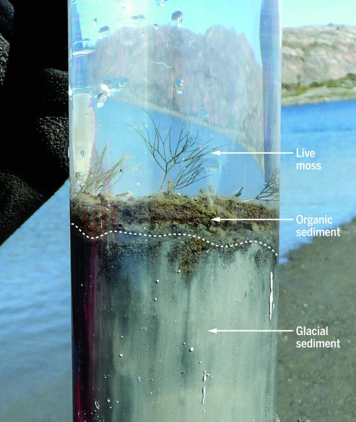 The Anthropocene is Functionally and Stratigraphically Distinct From ...
