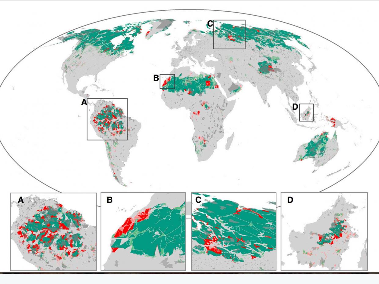 Wilderness land set to disappear from planet by 2100 as humans move in ...
