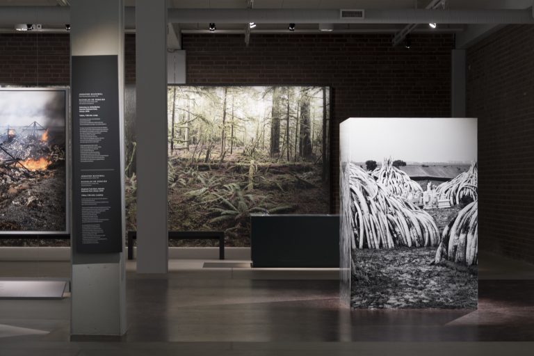 The Anthropocene Project | Exhibition